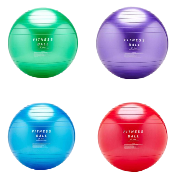 Loumet Physio Fitness Balls - Victor Sports